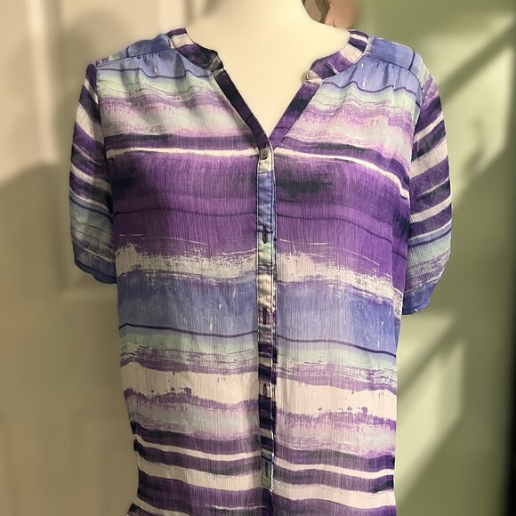 Roz & Ali | Tops | Sheer Blouse By Roz Ali | Poshmark